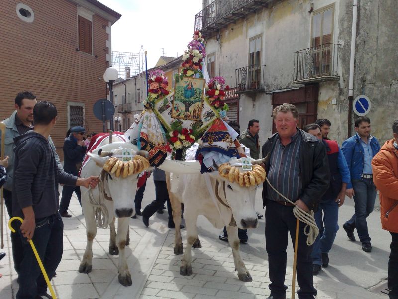 Processione Madonna Incoronata - Comune di Castelfranco in Miscano